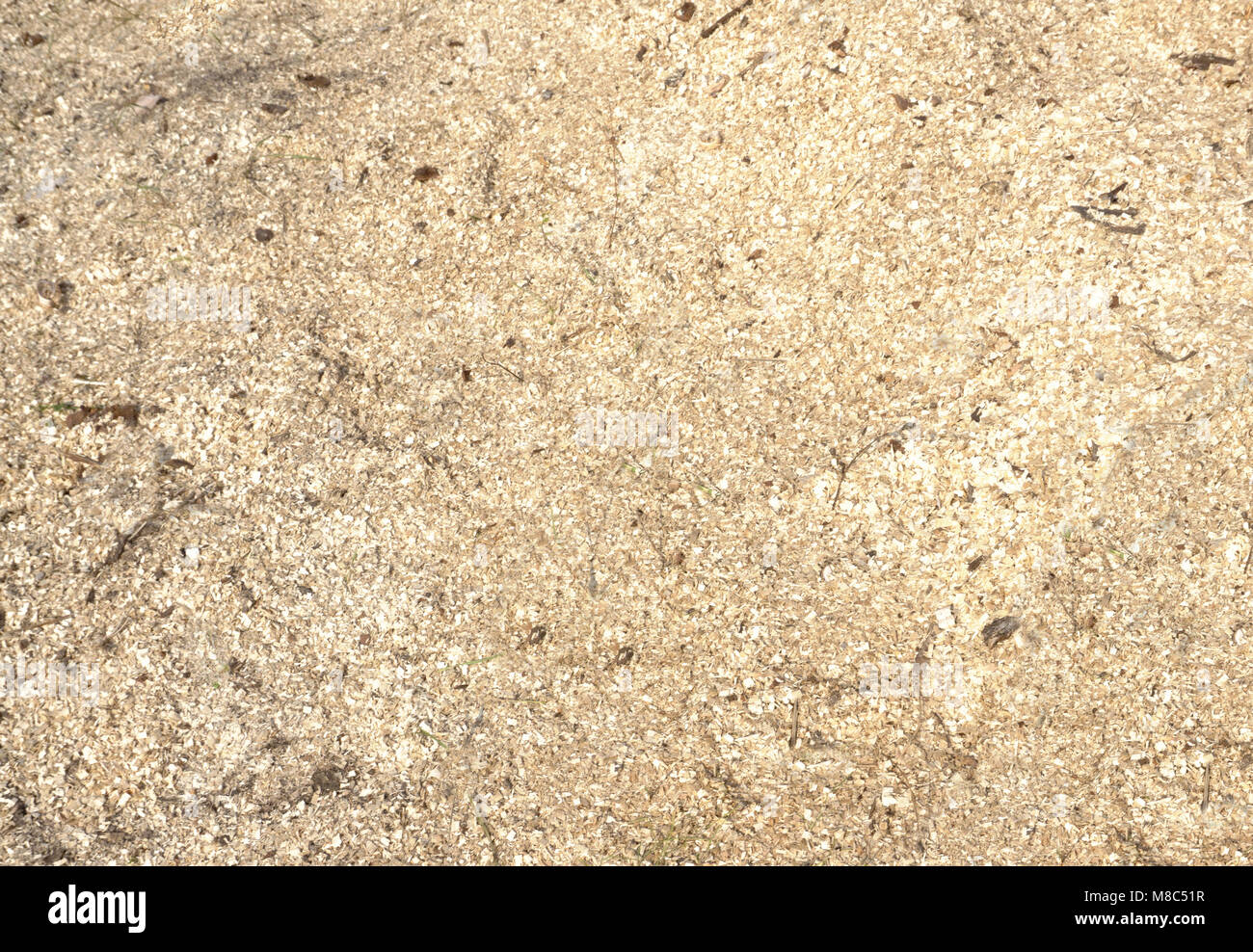 Wood sawdust texture material background closeup, top view Stock Photo ...