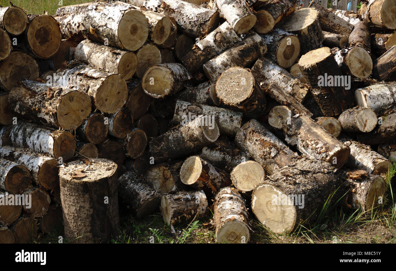 chopped logs for winter fire Stock Photo - Alamy