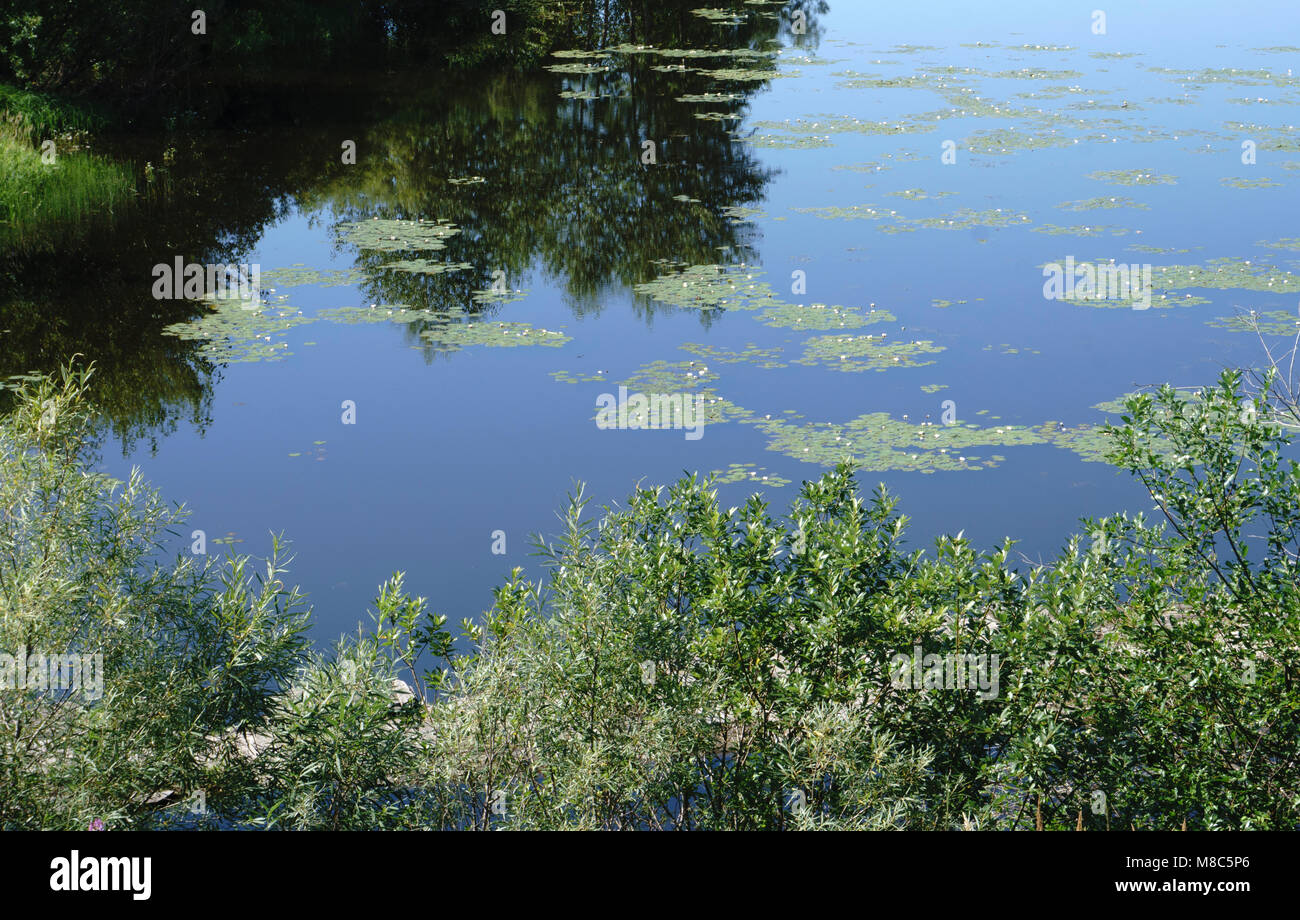 Lowland river ecosystem hi-res stock photography and images - Alamy