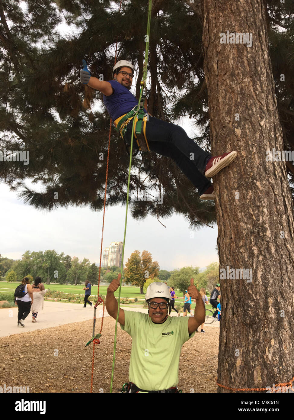USDA tree climbing Stock Photo - Alamy