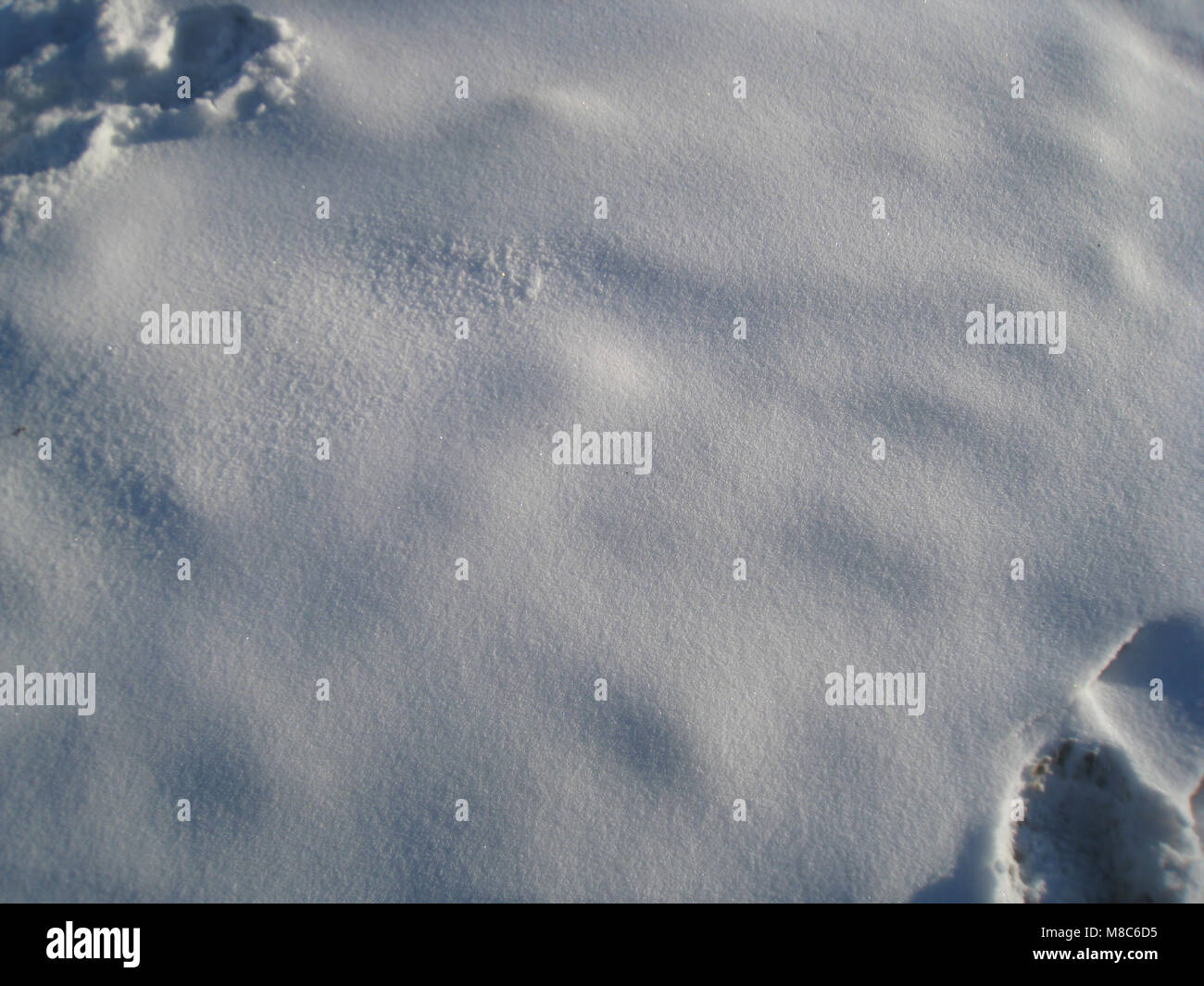 Sunshine ,sunny weather, snow, snow texture Stock Photo - Alamy