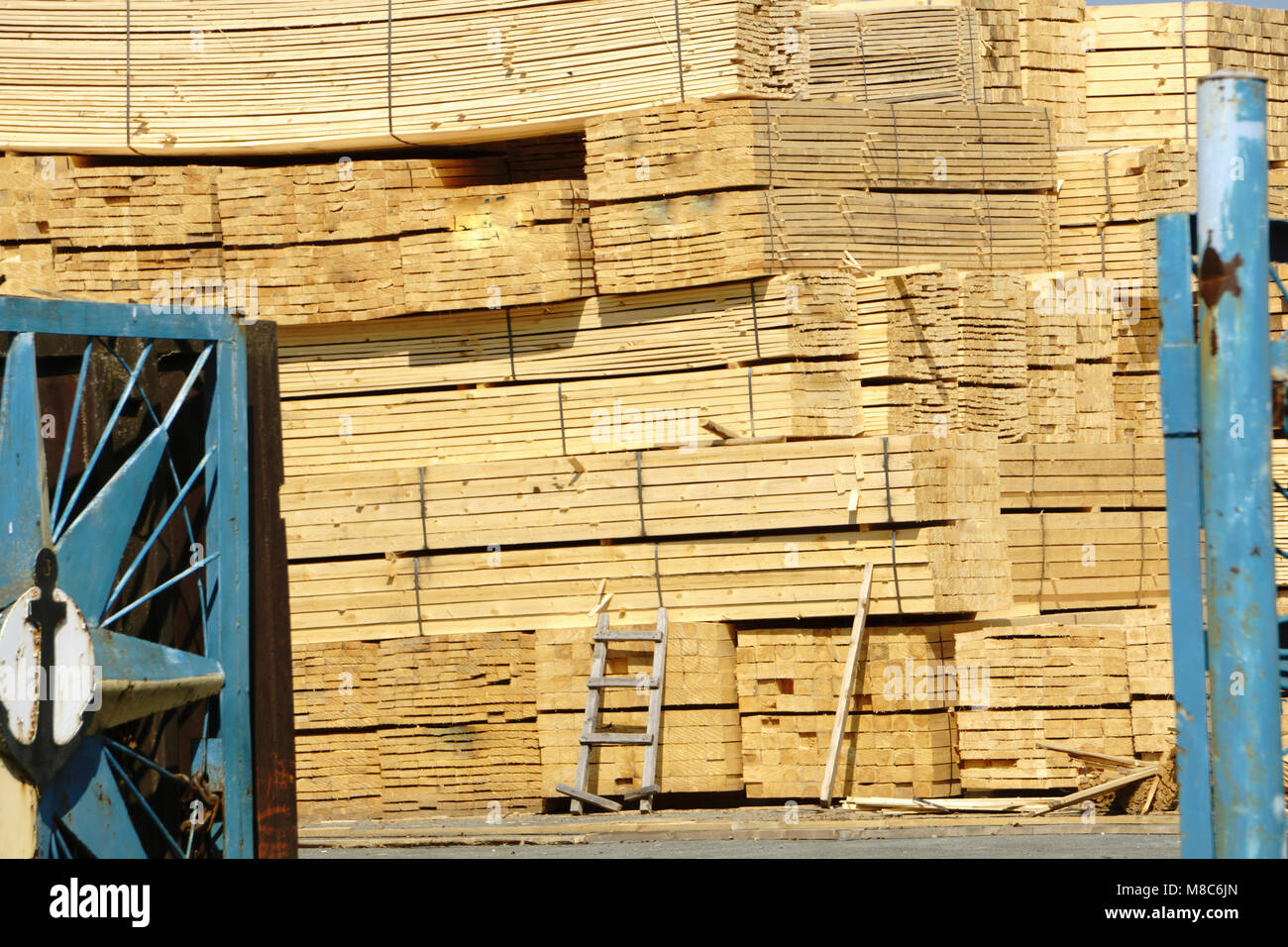 Wood factory stock and lumber board with nature business export Stock ...