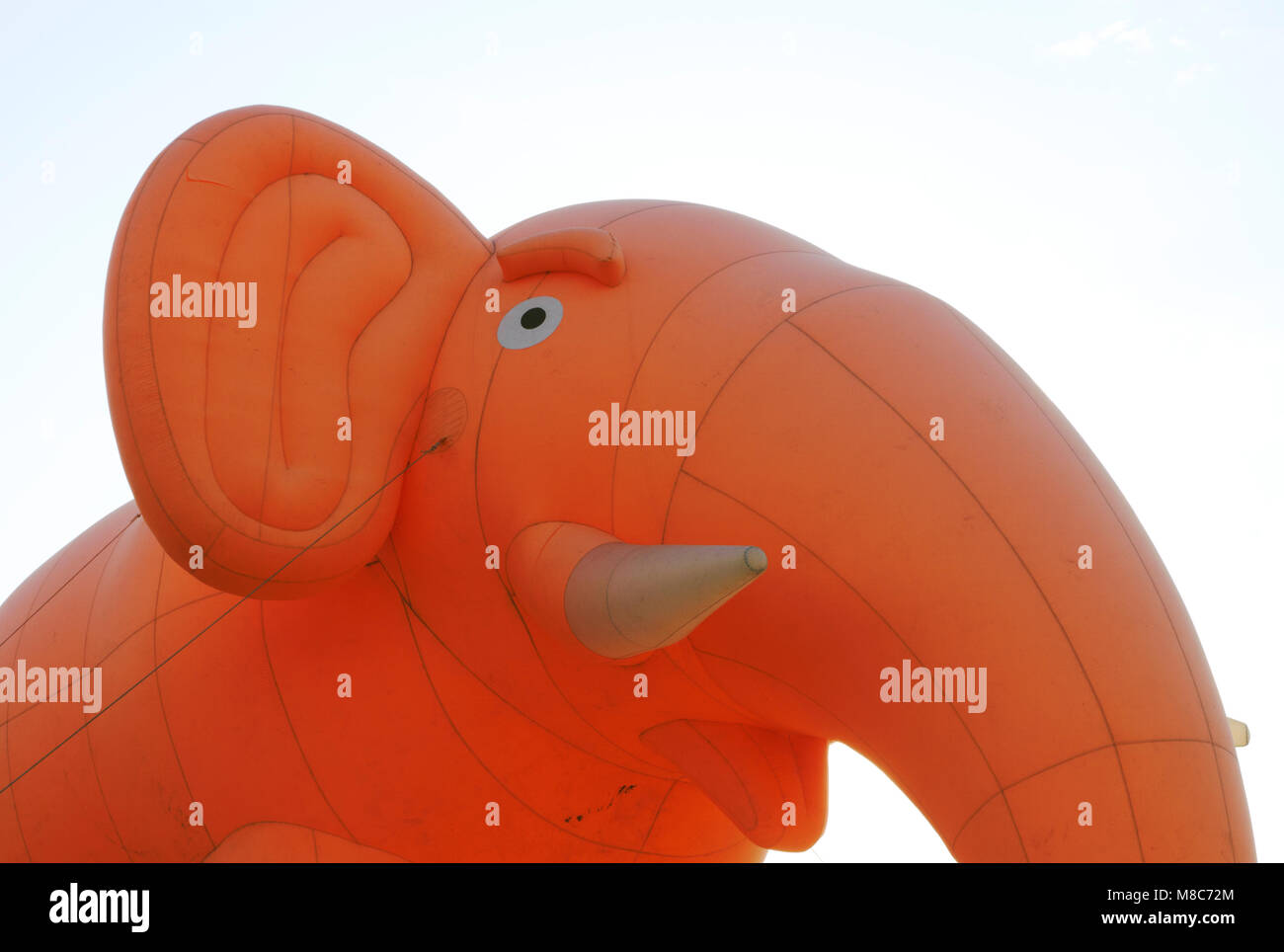 Inflatable pink elephant with white tusks against the blue sky tied ...