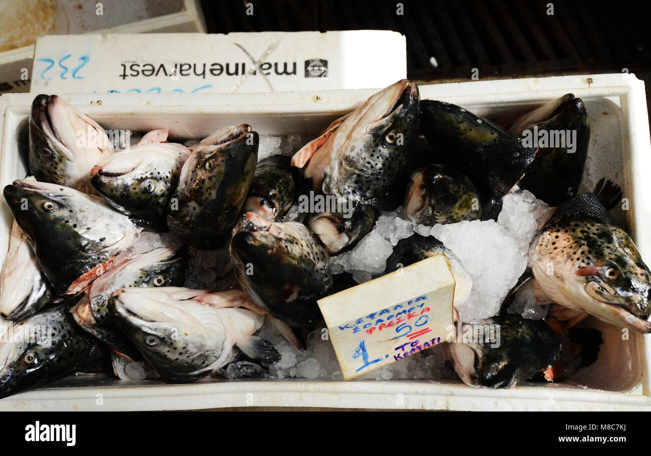 Fish Heads Stock Photos & Fish Heads Stock Images - Alamy