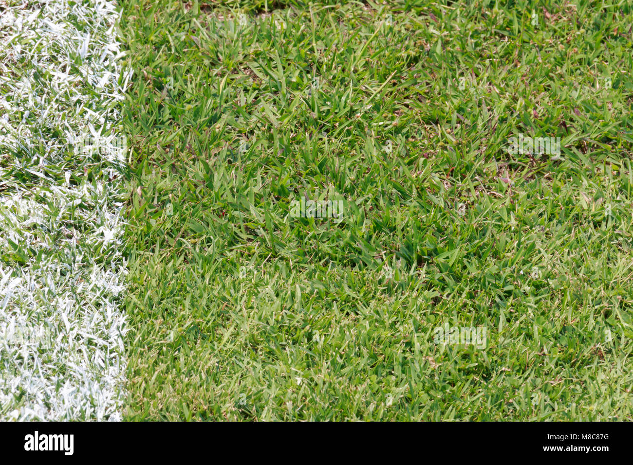 green grass football field or background Stock Photo - Alamy