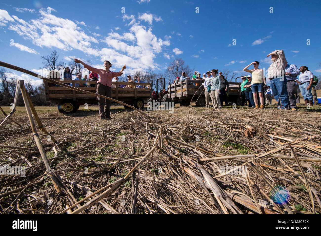 Chesapeake Bay Foundation Clagett Farm Vegetable Production Specialist ...
