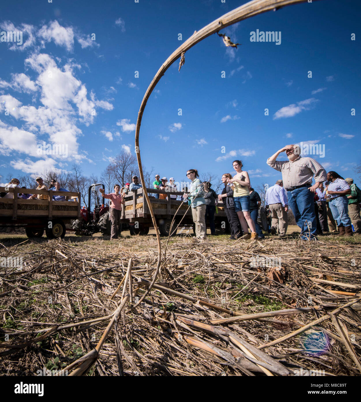 Chesapeake Bay Foundation Clagett Farm Vegetable Production Specialist ...