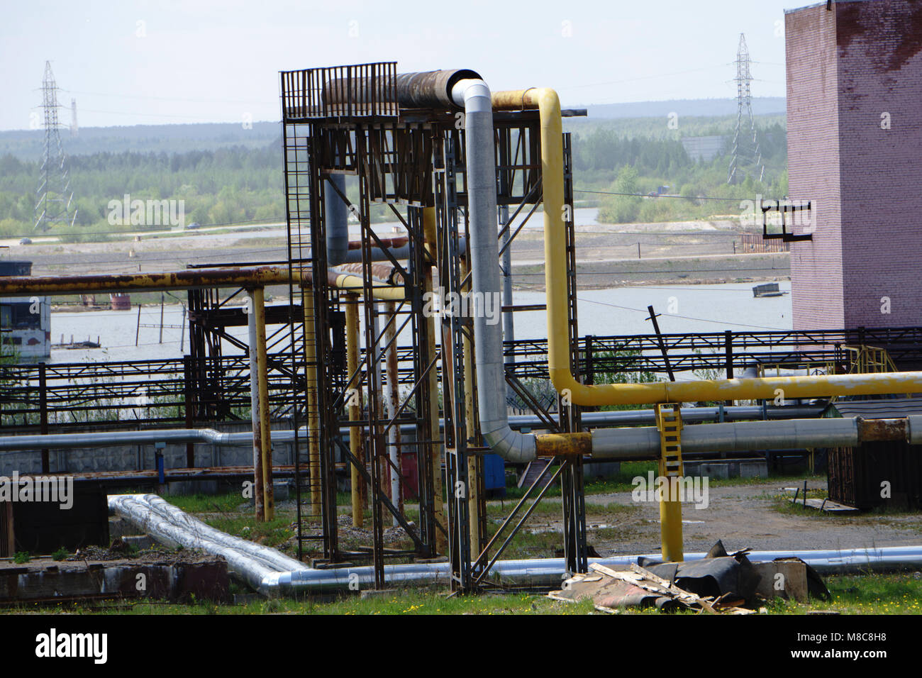 is an potash plant Stock Photo - Alamy