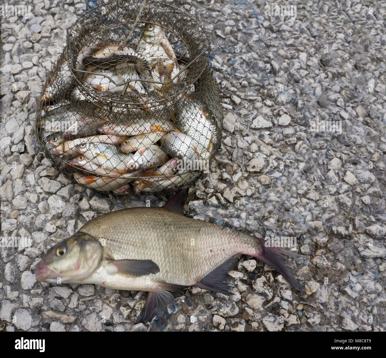Catchingfish hi-res stock photography and images - Alamy