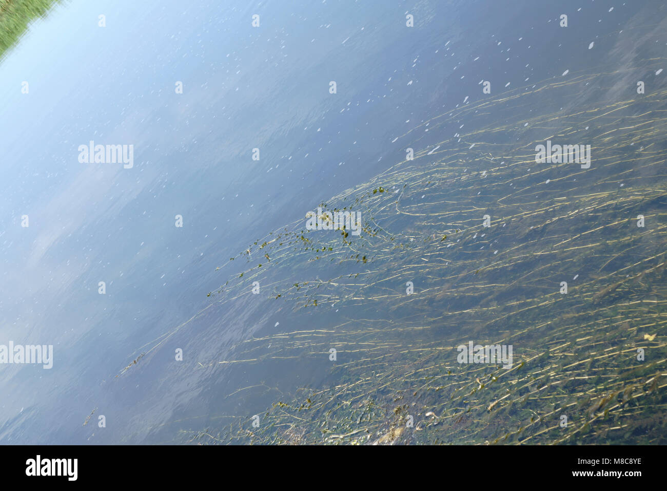 beautiful ripples on river flow over colorful stones in summer sunshine ...