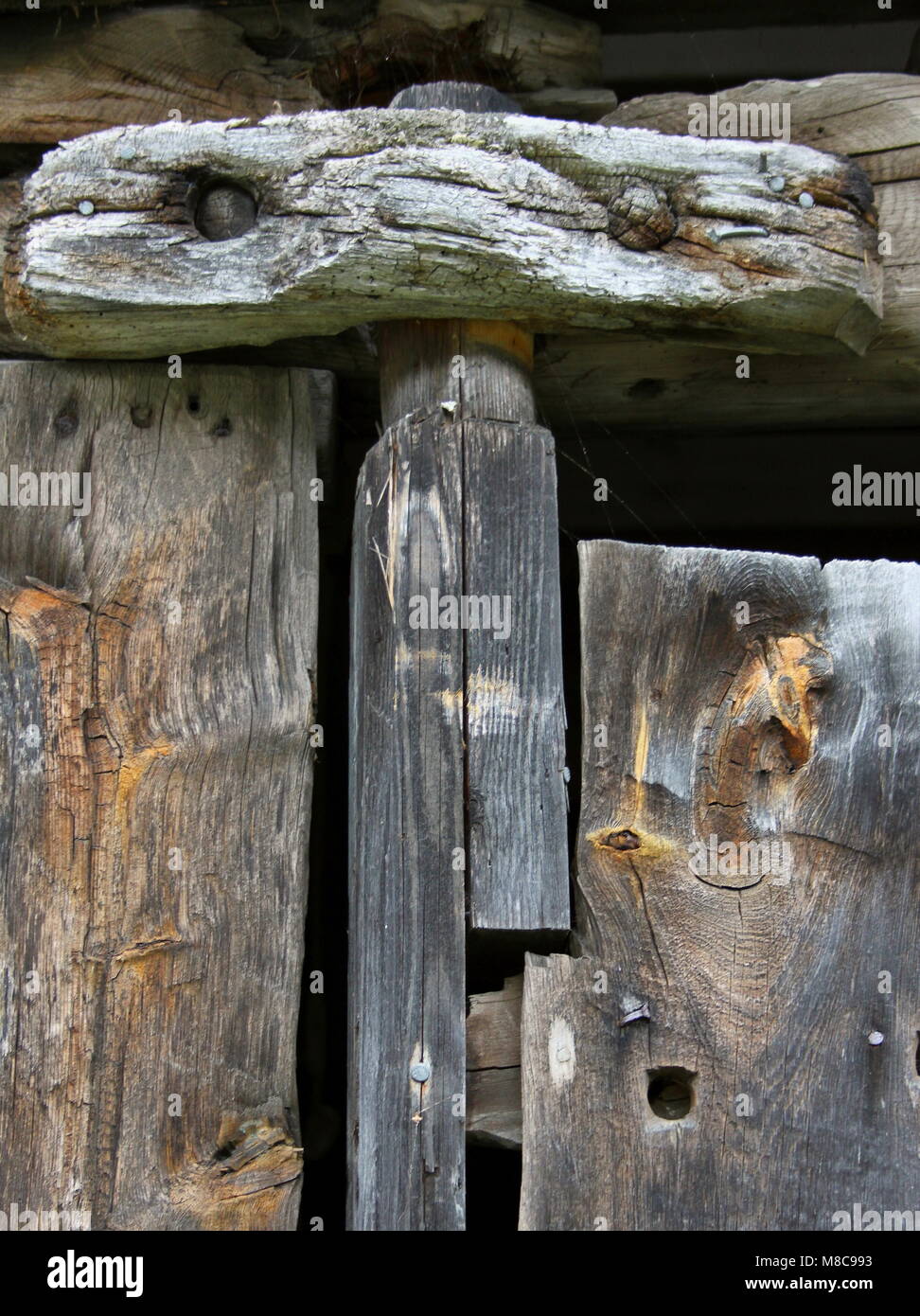 Pareidolia is the tendency to see shapes such as human faces in the ...