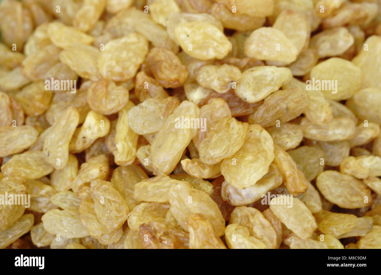 Yellow raisins white background Stock Photo - Alamy