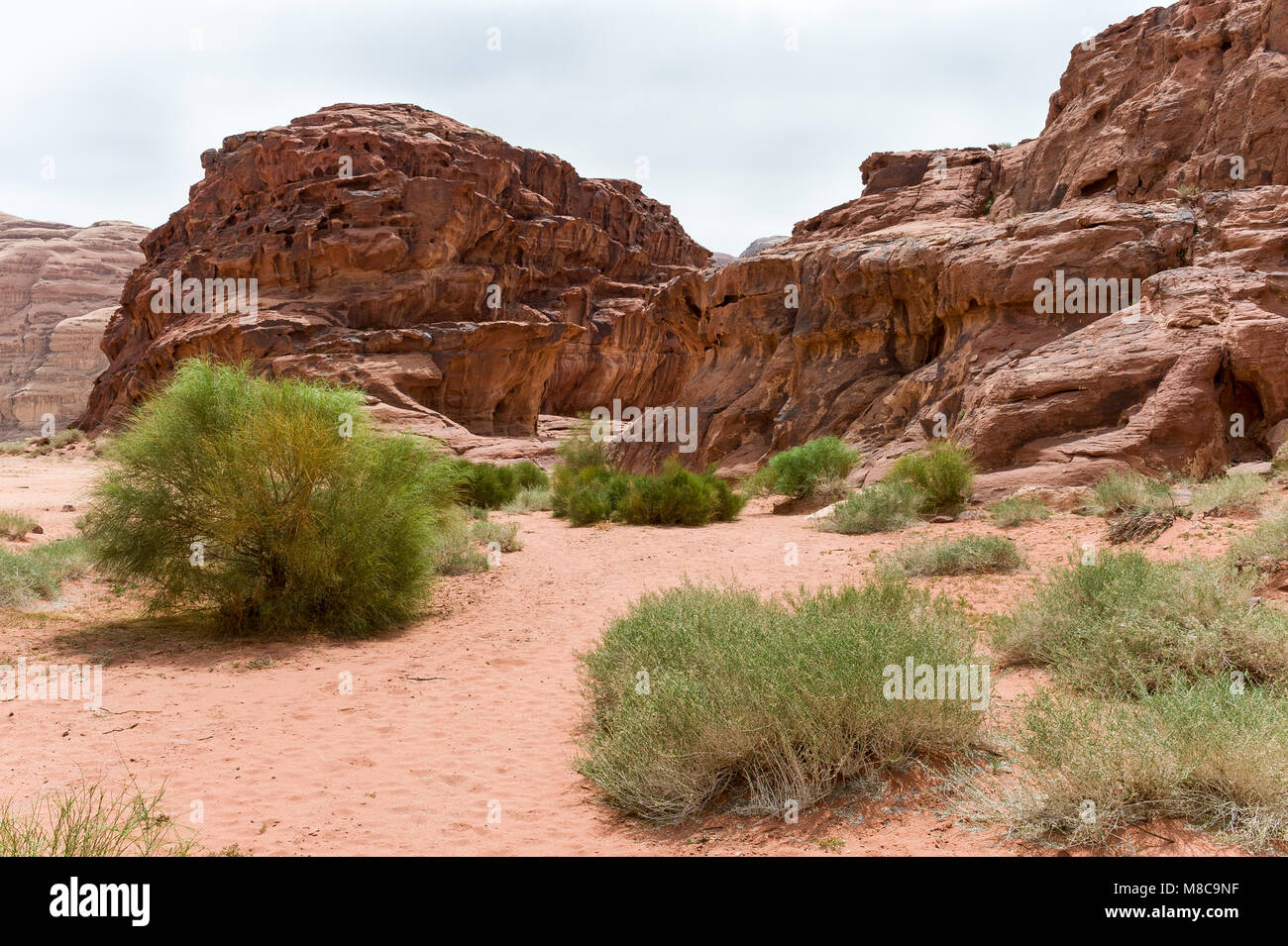 Wadi Rum , The Valley of the Moon, is a valley cut into the sandstone ...