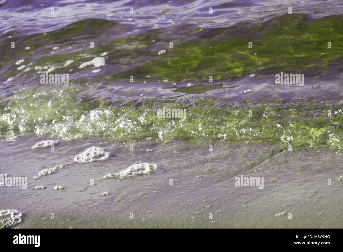 line of the surf Stock Photo - Alamy