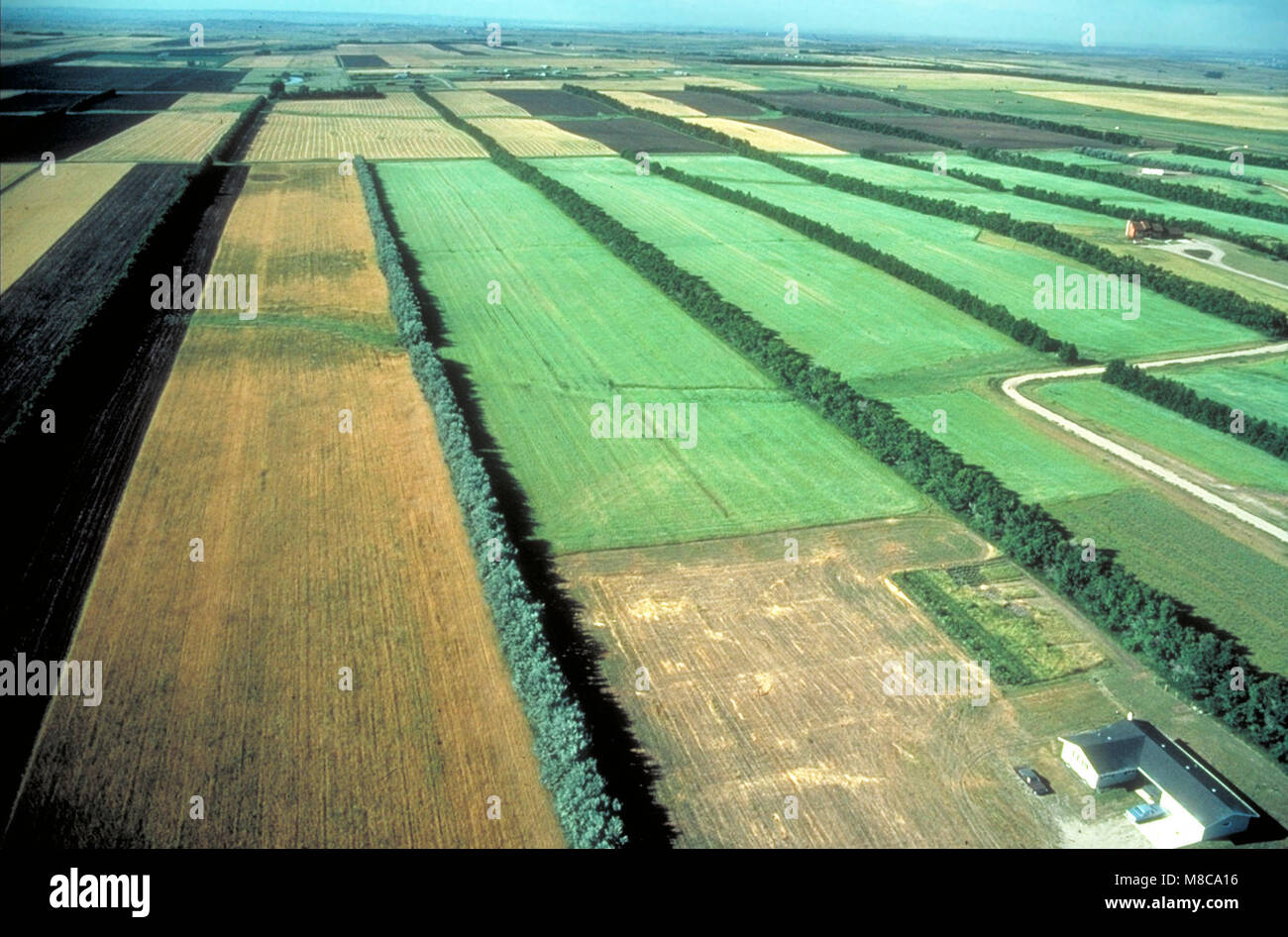 Field windbreak system, pictured above, help control and manage snow to ...