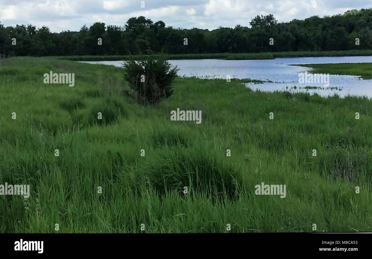 This Iowa parcel transformed from marginal cropland in 1993 to a ...