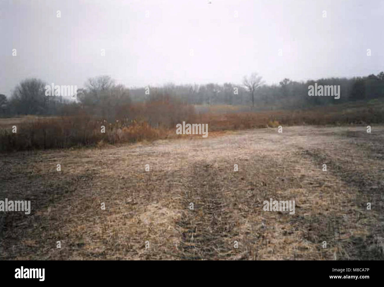 This Iowa parcel transformed from marginal cropland in 1993 to a ...