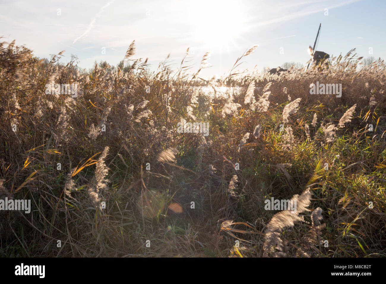 Arjan Van Duijvenboden High Resolution Stock Photography and Images - Alamy
