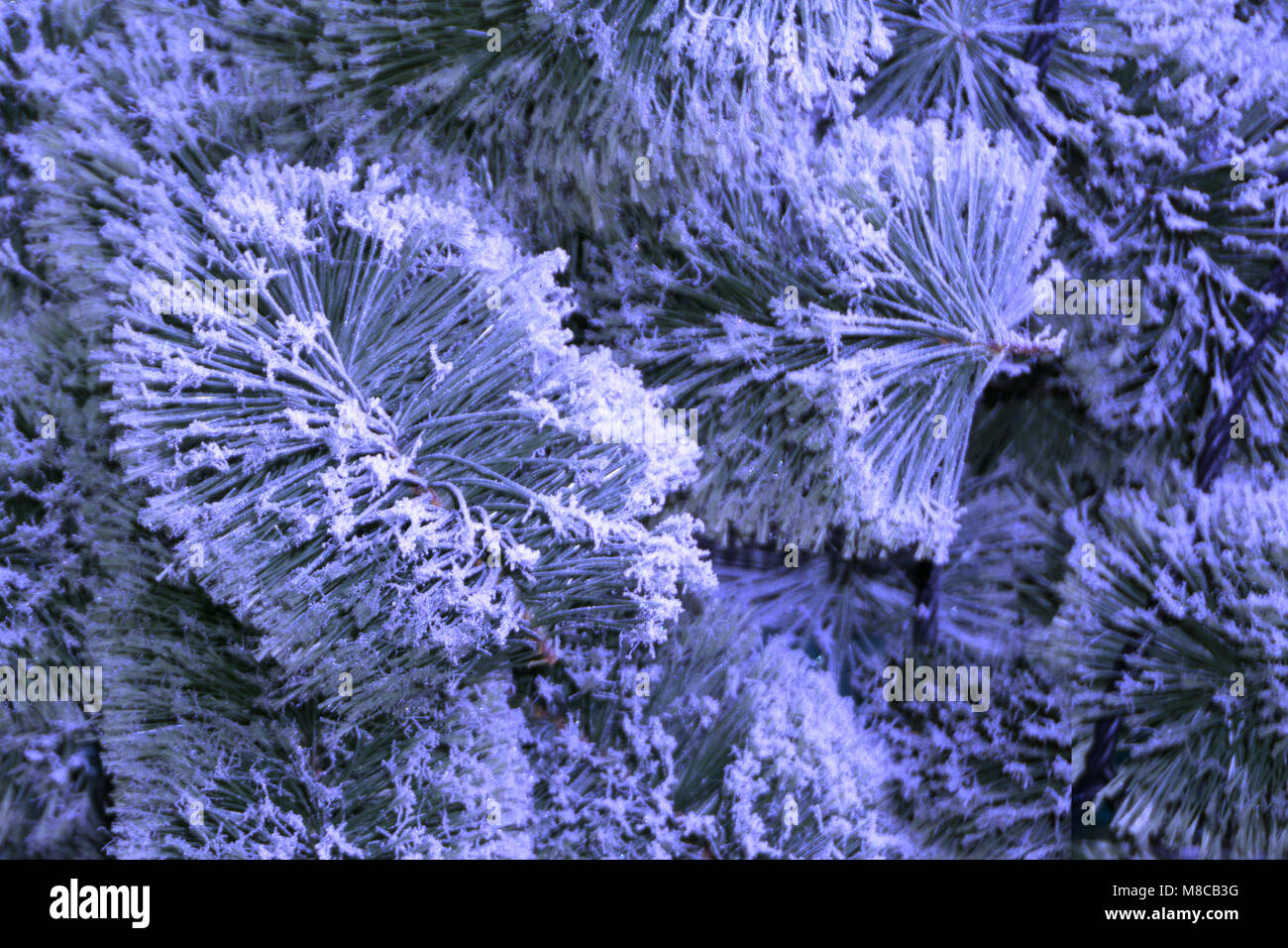 texture artificial green tree Stock Photo - Alamy