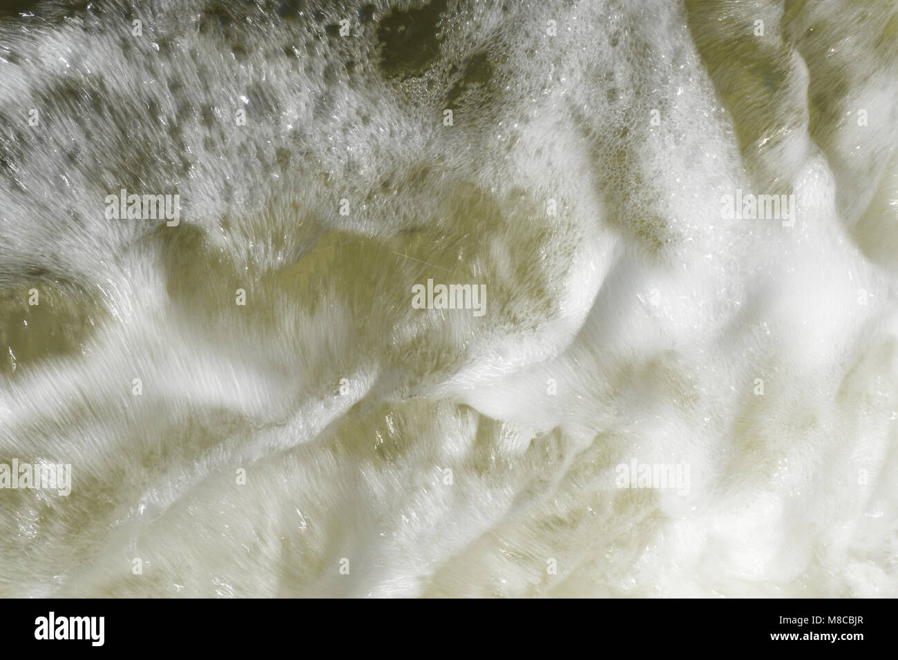 High high shutter speed to stop action hi-res stock photography and ...