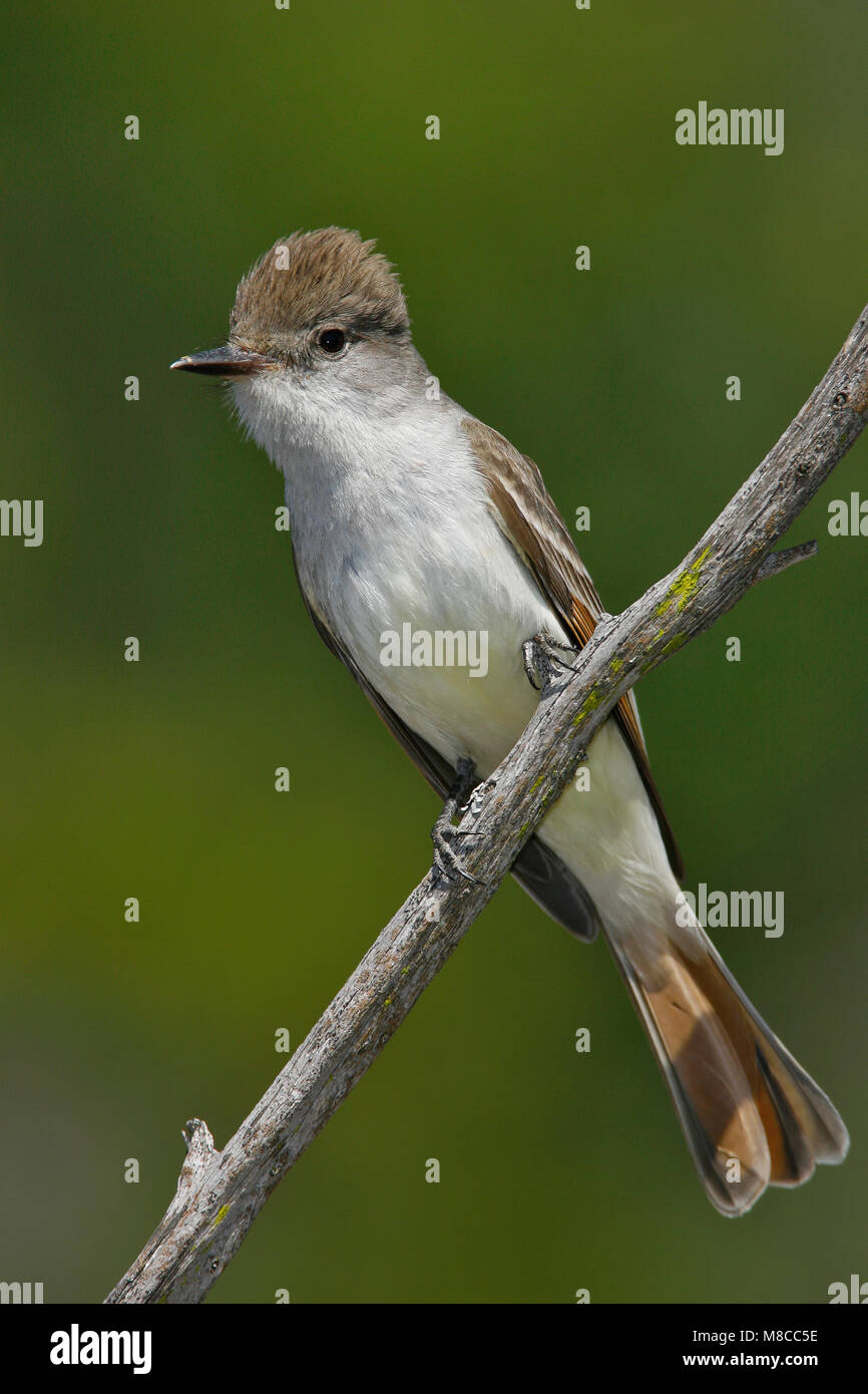 Brian travis hi-res stock photography and images - Alamy