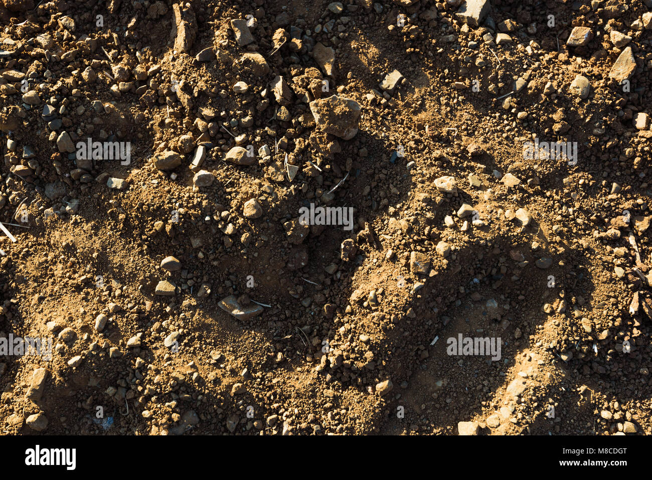 Dry light soil hi-res stock photography and images - Alamy