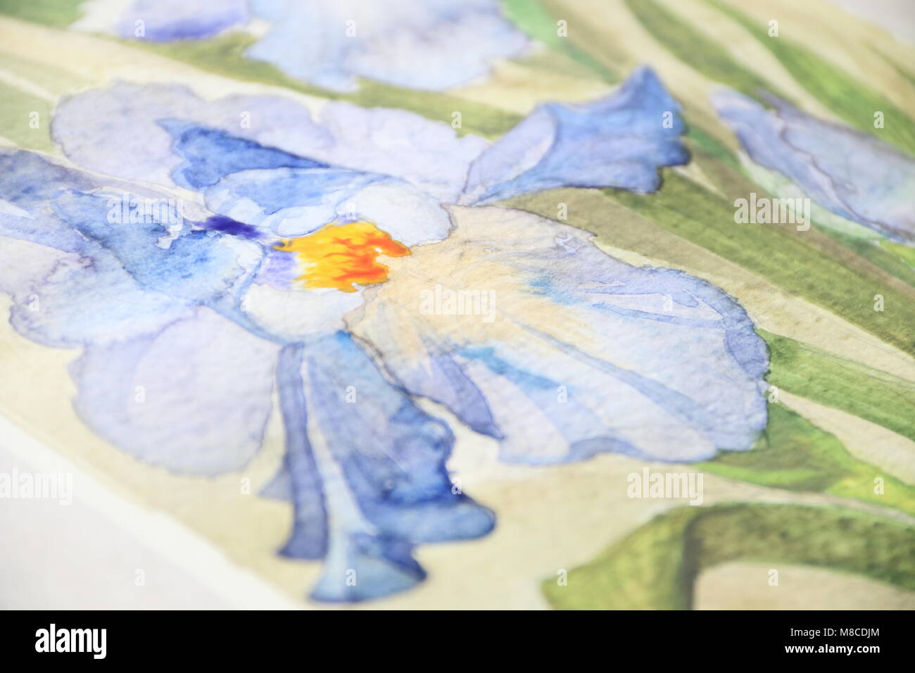 Iris flowers watercolor painting Stock Photo - Alamy