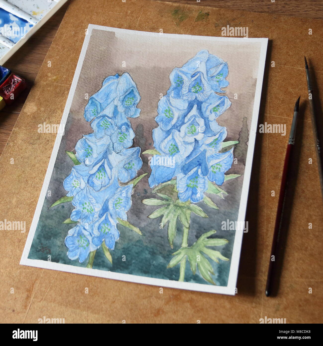 Carmichael flowers watercolor painting Stock Photo - Alamy