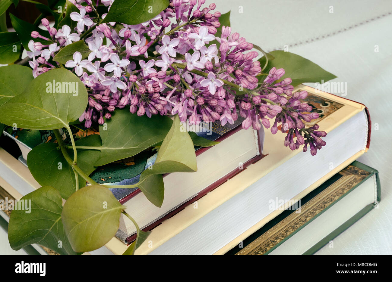 Still life: on a stack of books is a flowering branch of lilac Stock ...