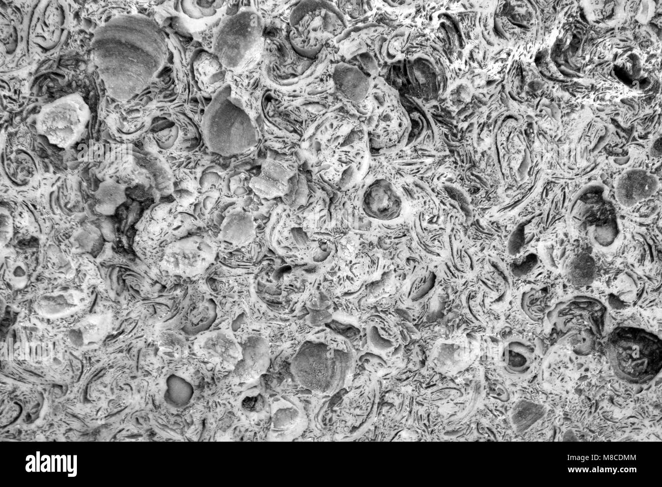 Moss agate Black and White Stock Photos & Images - Alamy