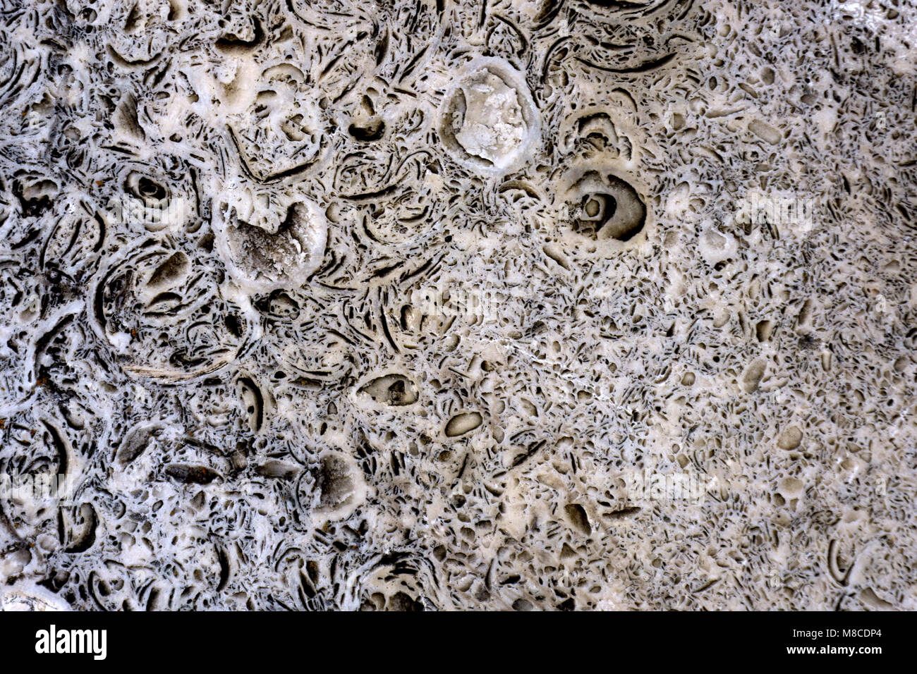 decorative stone. macro dendrite. Raw rough plate Stock Photo - Alamy