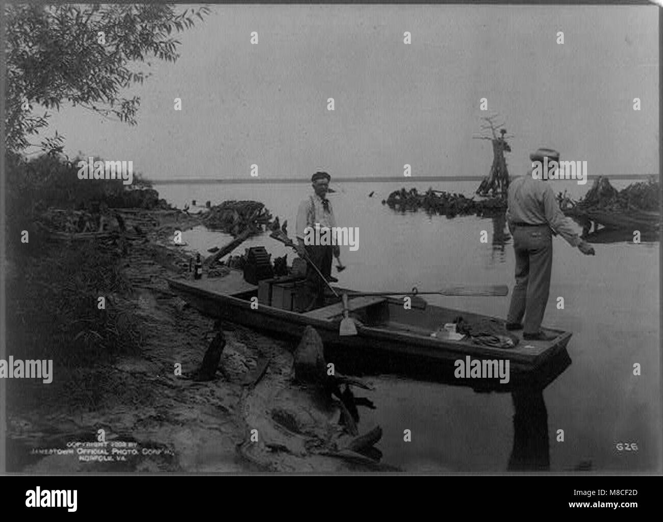A photograph depicting the Dismal Swamp in North Carolina. The swamp is ...