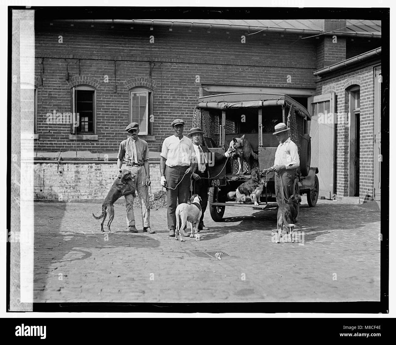 This photograph shows dog catchers at work, likely from a historical ...