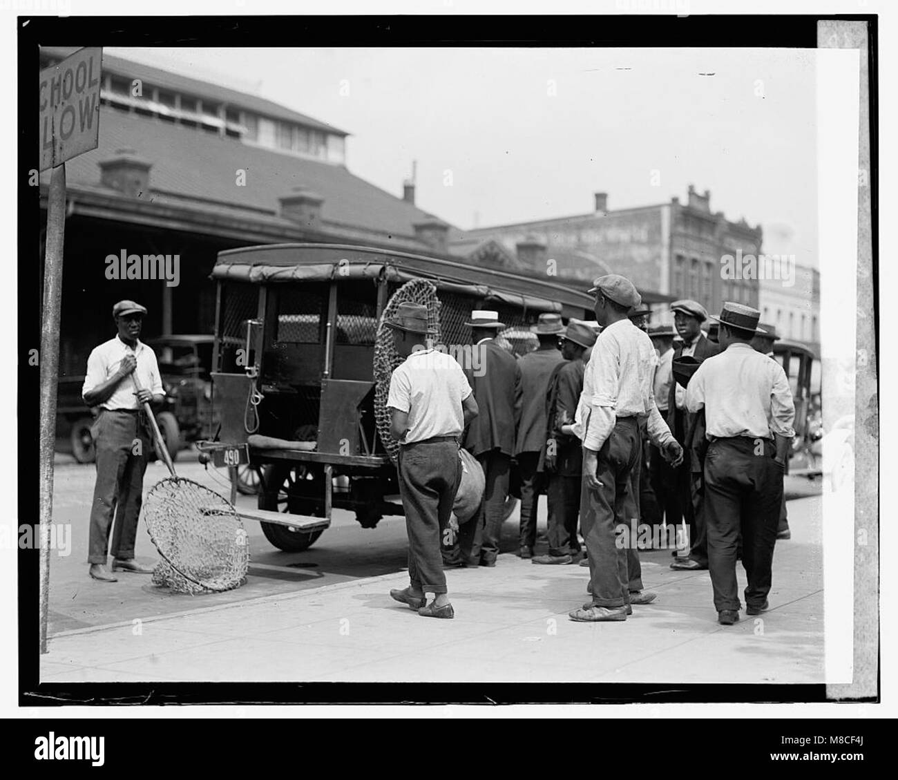 A photograph showing dog catchers in action, capturing stray dogs. This ...