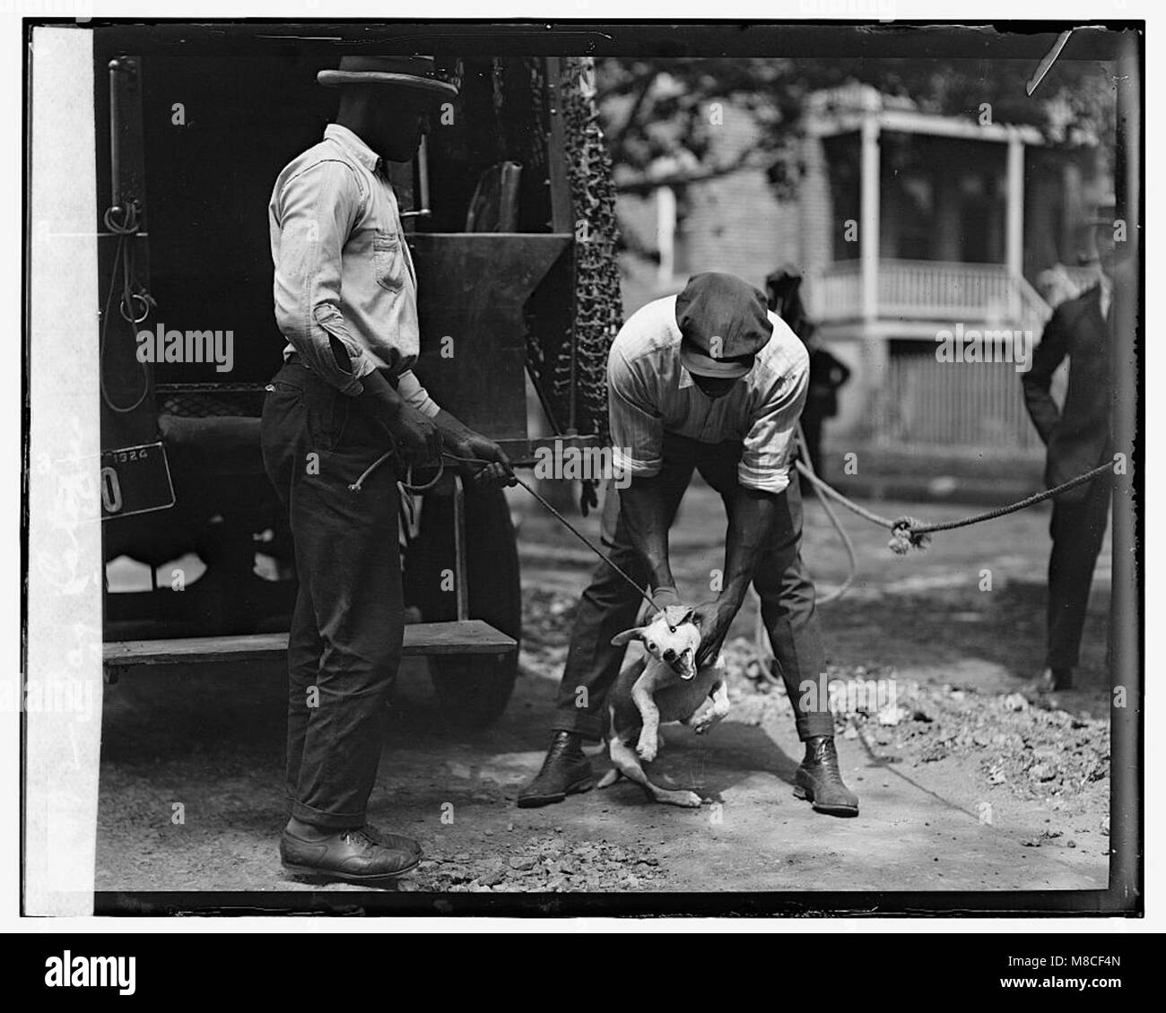 Dog catchers LOC npcc.11894 Stock Photo - Alamy