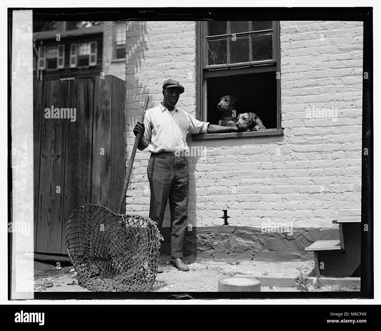 This photo depicts a dog catcher, likely working in a municipal or ...