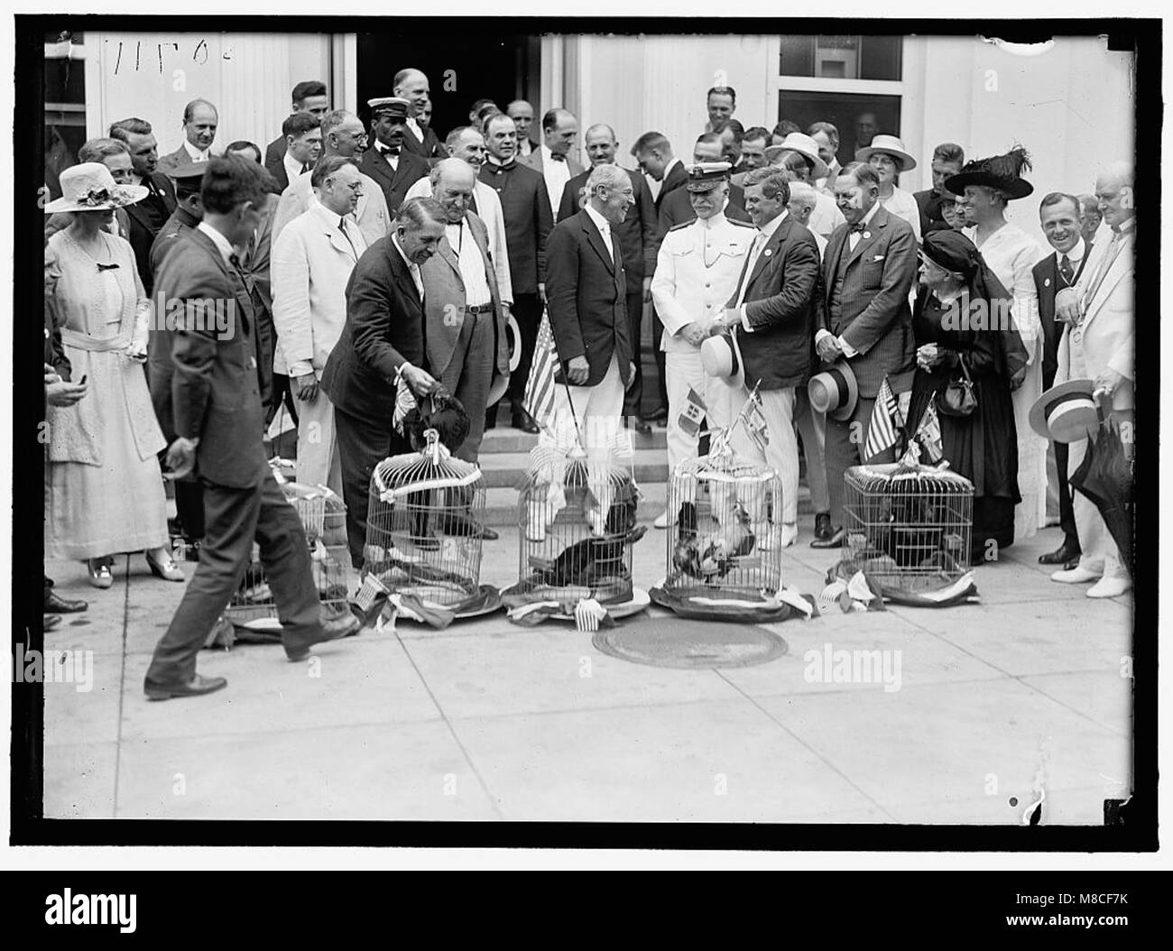 This photograph depicts Alabama citizens receiving roosters at the ...
