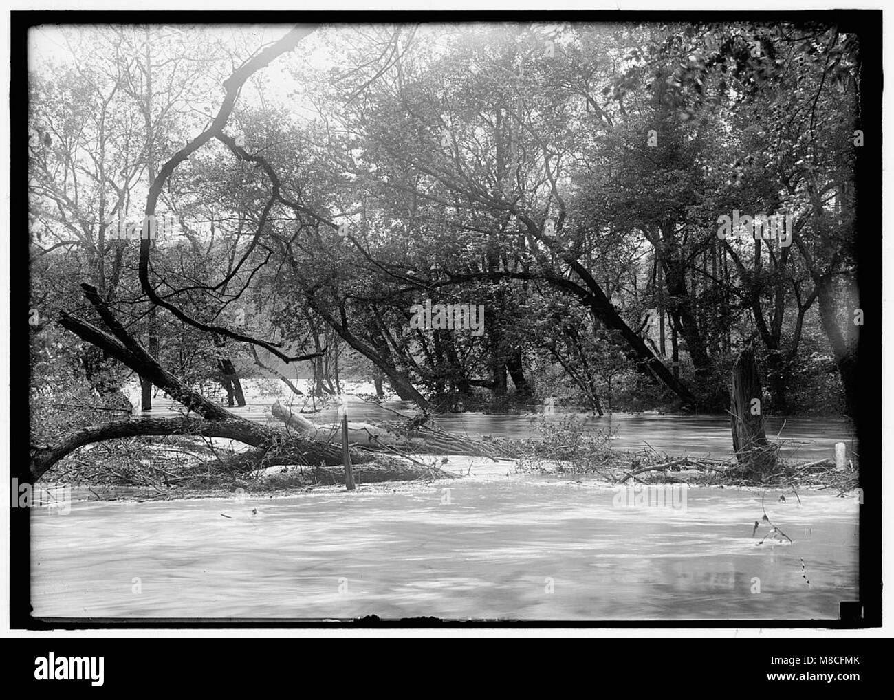 A photograph documenting the aftermath of a flood, capturing the ...