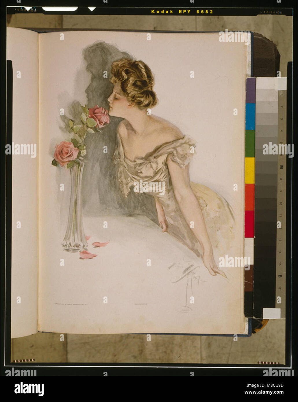 'American Beauties,' a series of illustrations by Harrison Fisher from ...