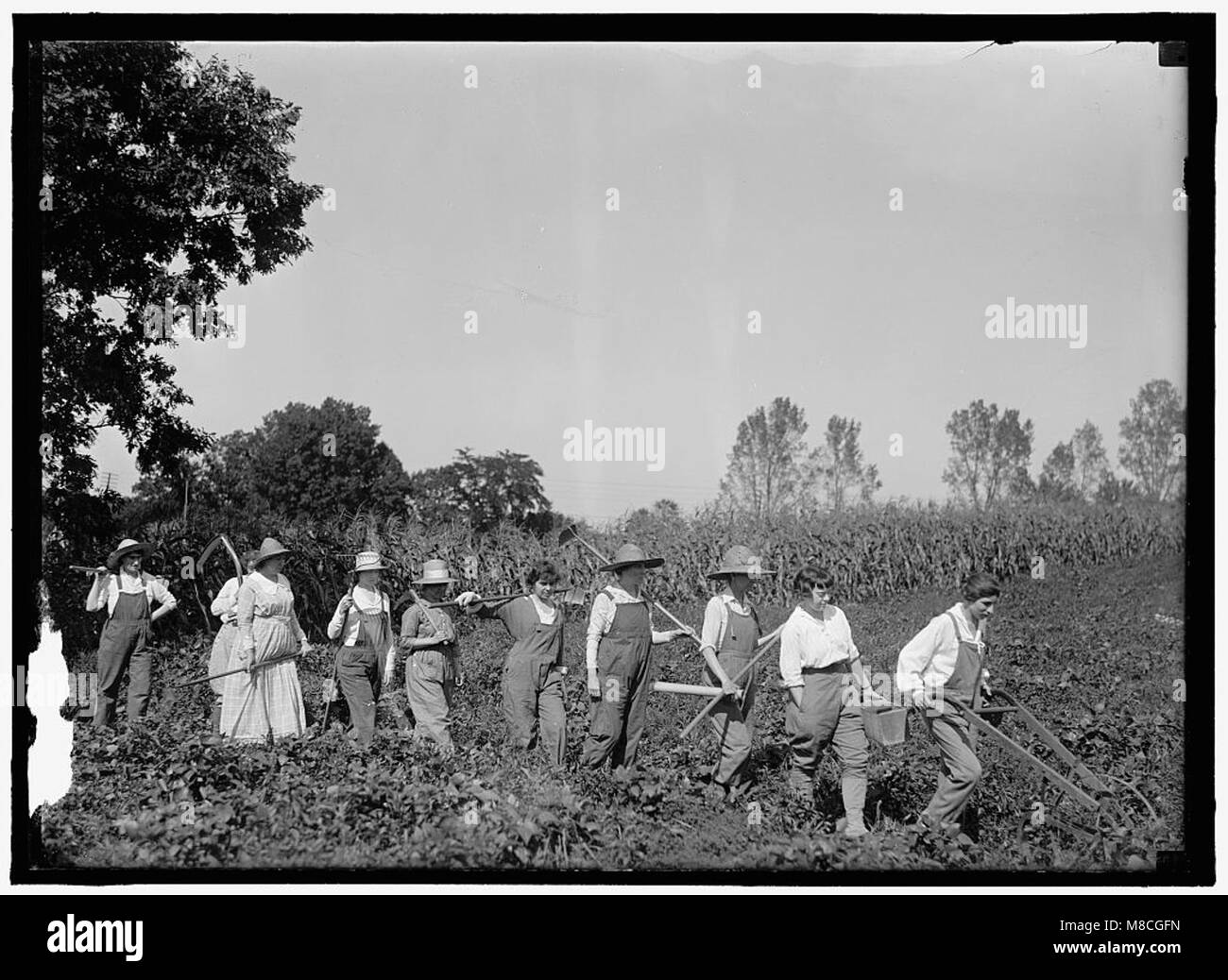 Harvesting crops Black and White Stock Photos & Images - Alamy
