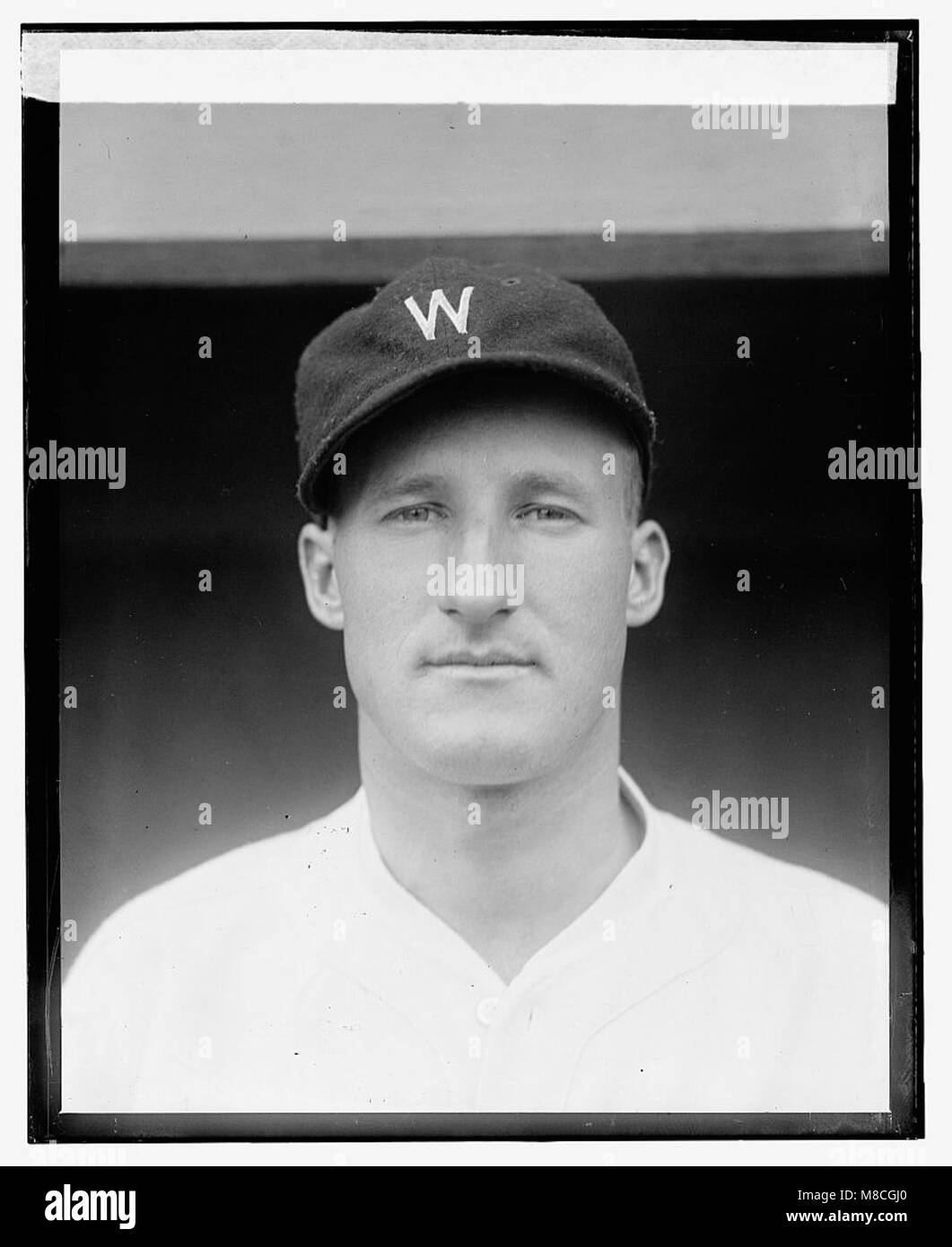 Goslin hi-res stock photography and images - Alamy