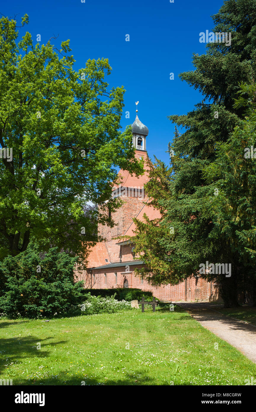 Holstein oldenburg hi-res stock photography and images - Alamy