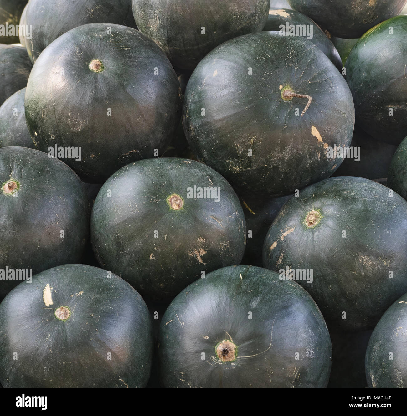 Tarmuj hi-res stock photography and images - Alamy