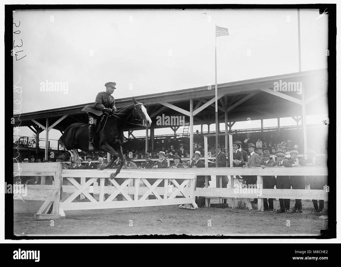 Old billy horse hi-res stock photography and images - Alamy