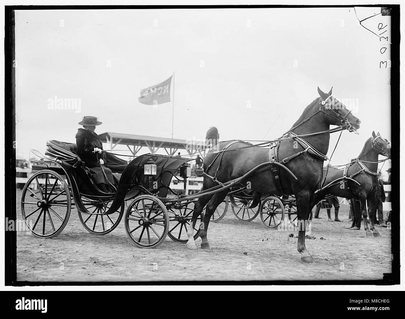 A collection of photographs depicting various horse shows, capturing ...