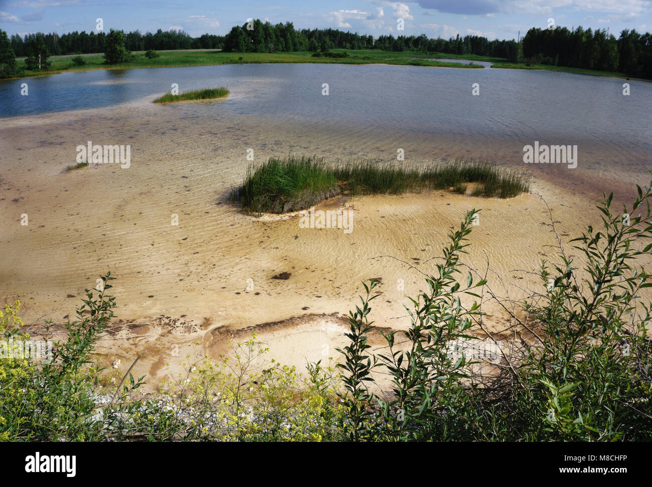 Cow manure pool hi-res stock photography and images - Alamy