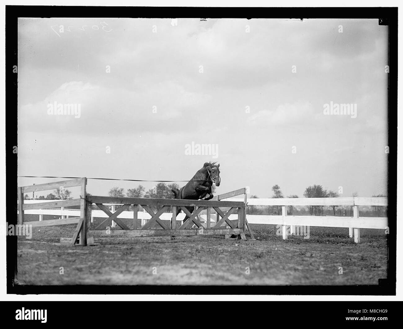A historical image of a horse show, capturing the competitive nature ...