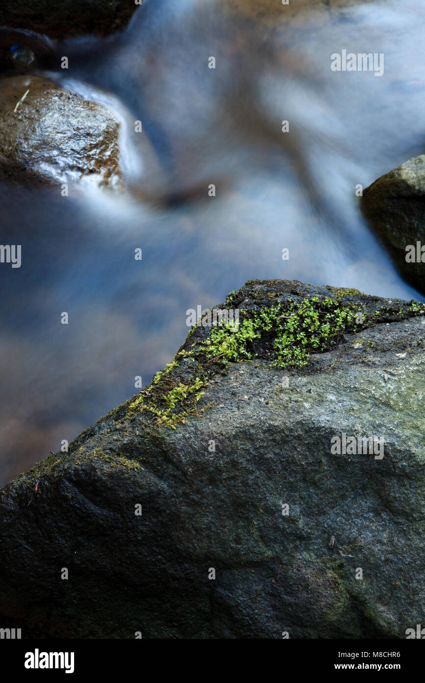 Small wet rocks hi-res stock photography and images - Alamy