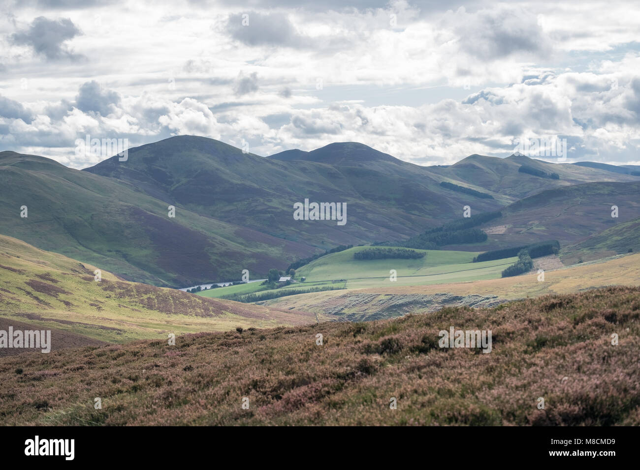 Scenic View of Pentland Hills, Scotland Stock Photo - Alamy