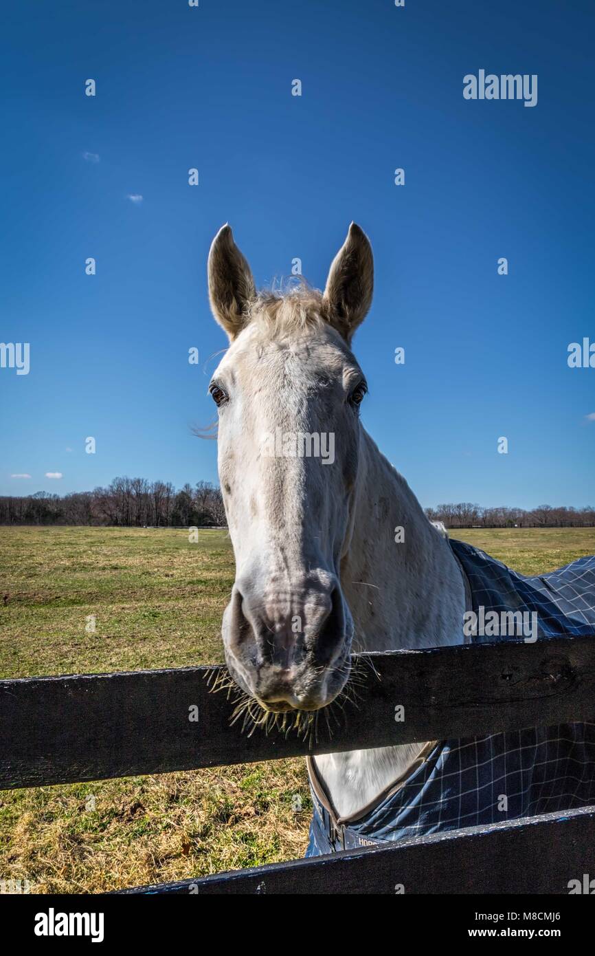 Clicking shutter hi-res stock photography and images - Alamy